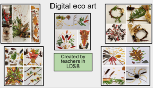 Land as First Teacher: Indigenous STEAM Learning Through Picture Books ...